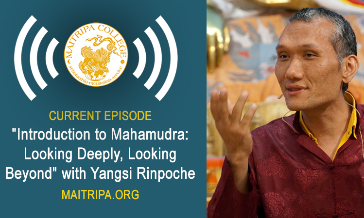 Episode 9. Introduction to Mahamudra: Looking Deeply, Looking Beyond ...